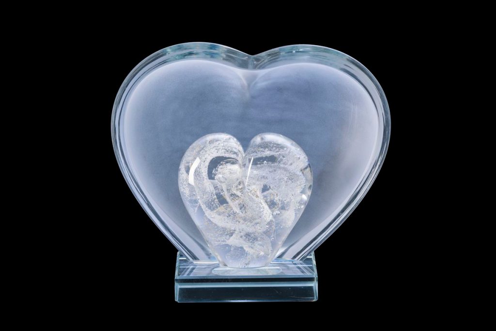 Oase der Ewigkeit – Naturbestattung – Sternspuren